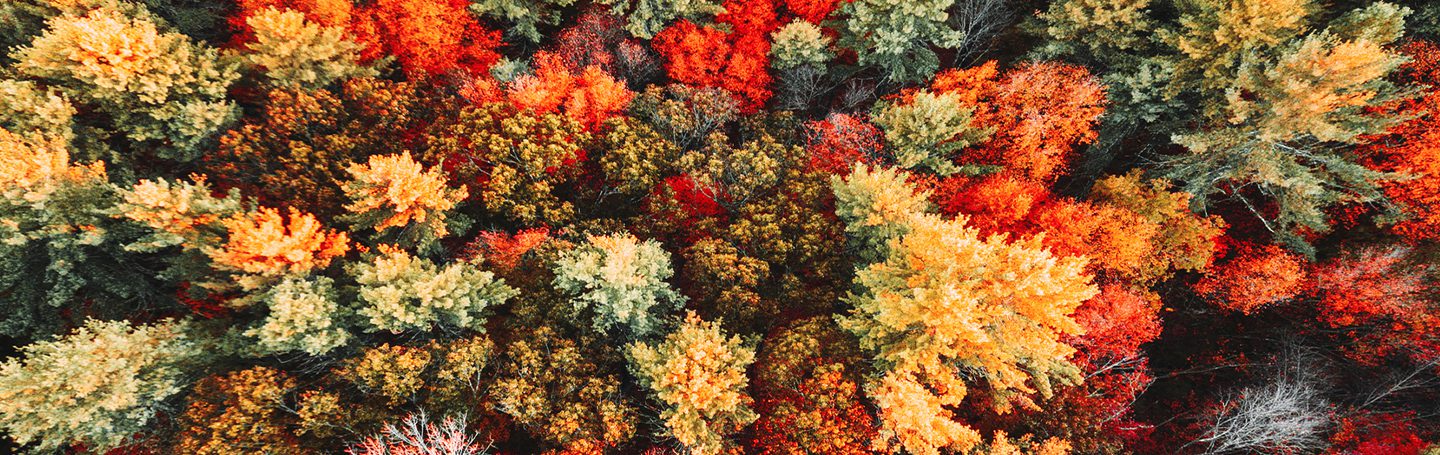 October Car Care Month | AAA Oregon/Idaho