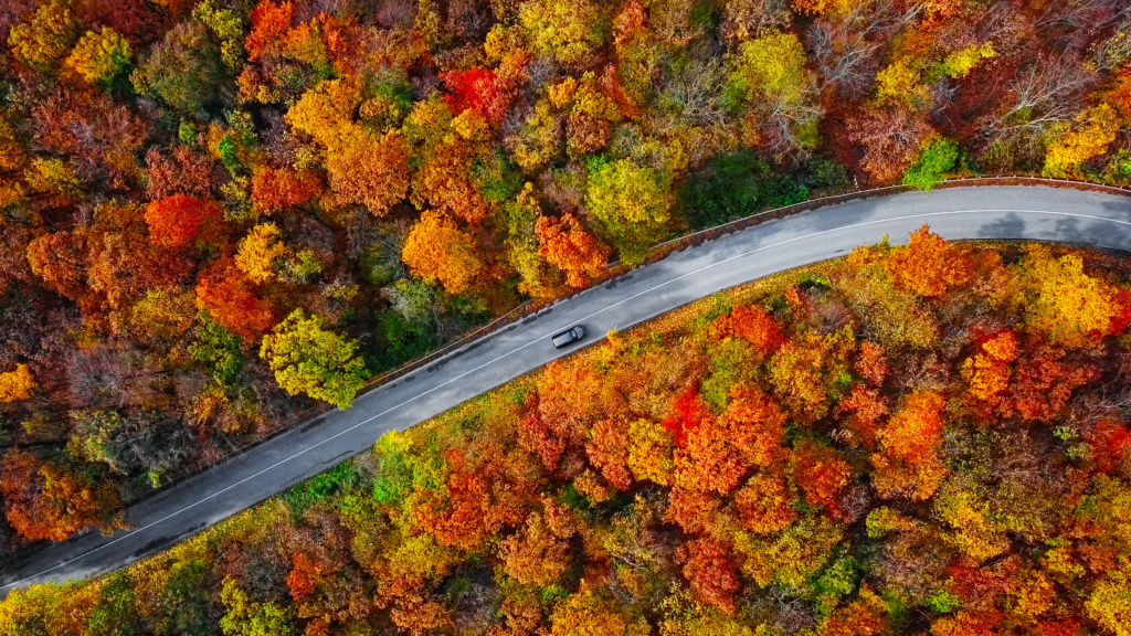 Fall Driving Hazards: What To Watch Out For | AAA Oregon/Idaho
