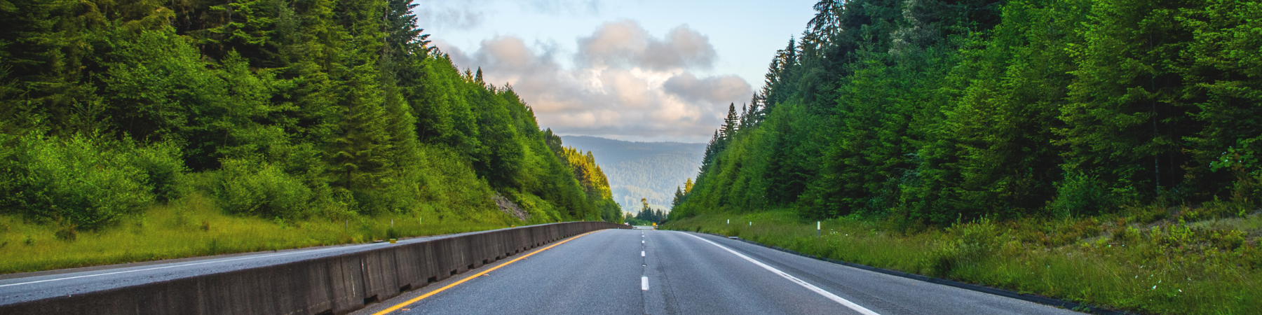 Understanding the 100 Deadliest Days of Summer on the Road | AAA Oregon ...